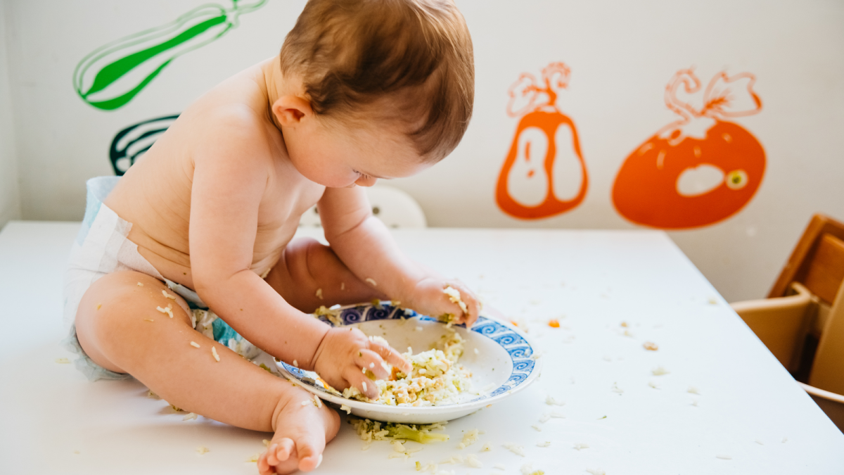 How to Start Baby-Led Weaning - Baby-Led Weaning Basics