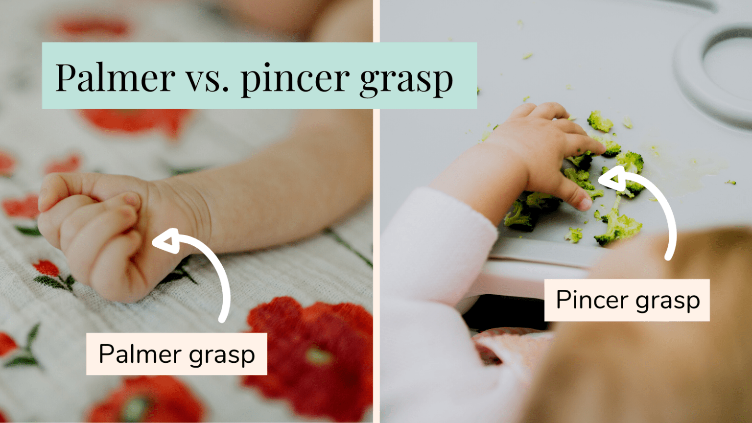 Best Baby-Led Weaning (BLW) First Foods - Baby-Led Weaning Basics
