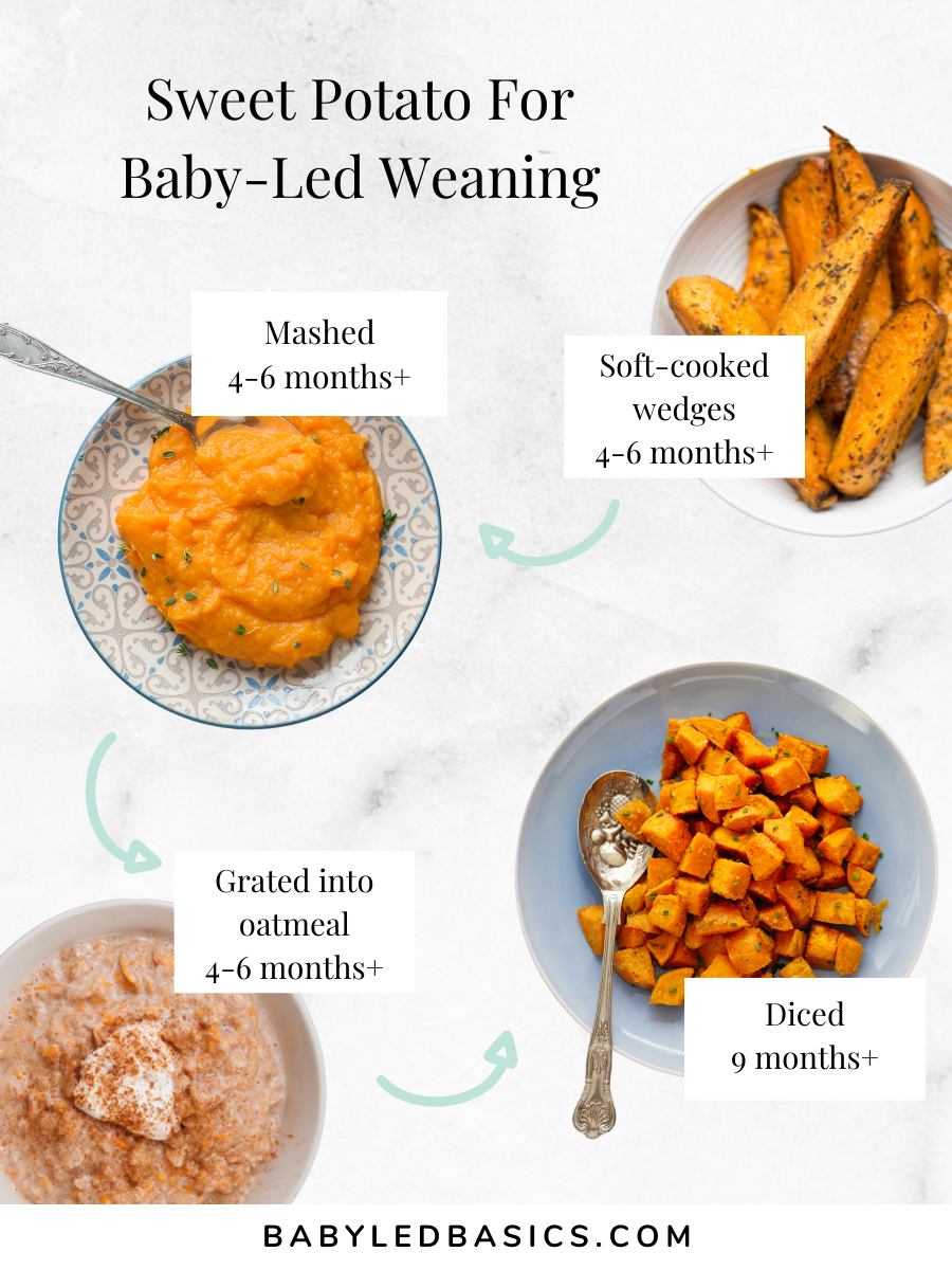 Sweet Potato For Baby-Led Weaning - Baby-Led Weaning Basics