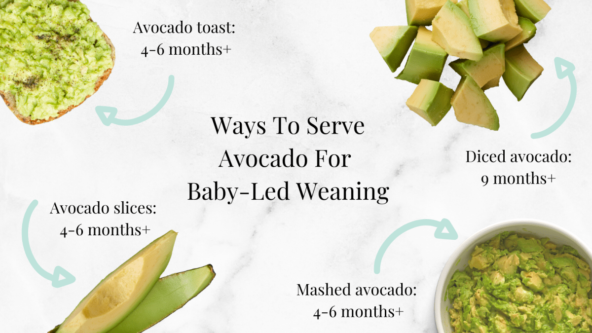 20 3-Ingredient Baby-Led Weaning (BLW) Recipes - Baby-Led Weaning Basics