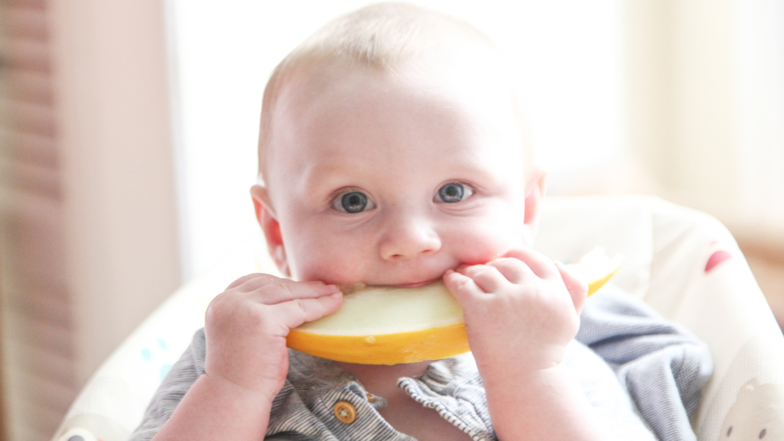 Best Baby-Led Weaning (BLW) First Foods - Baby-Led Weaning Basics